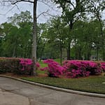 Walden on Lake Conroe Golf Club - Lake Conroe